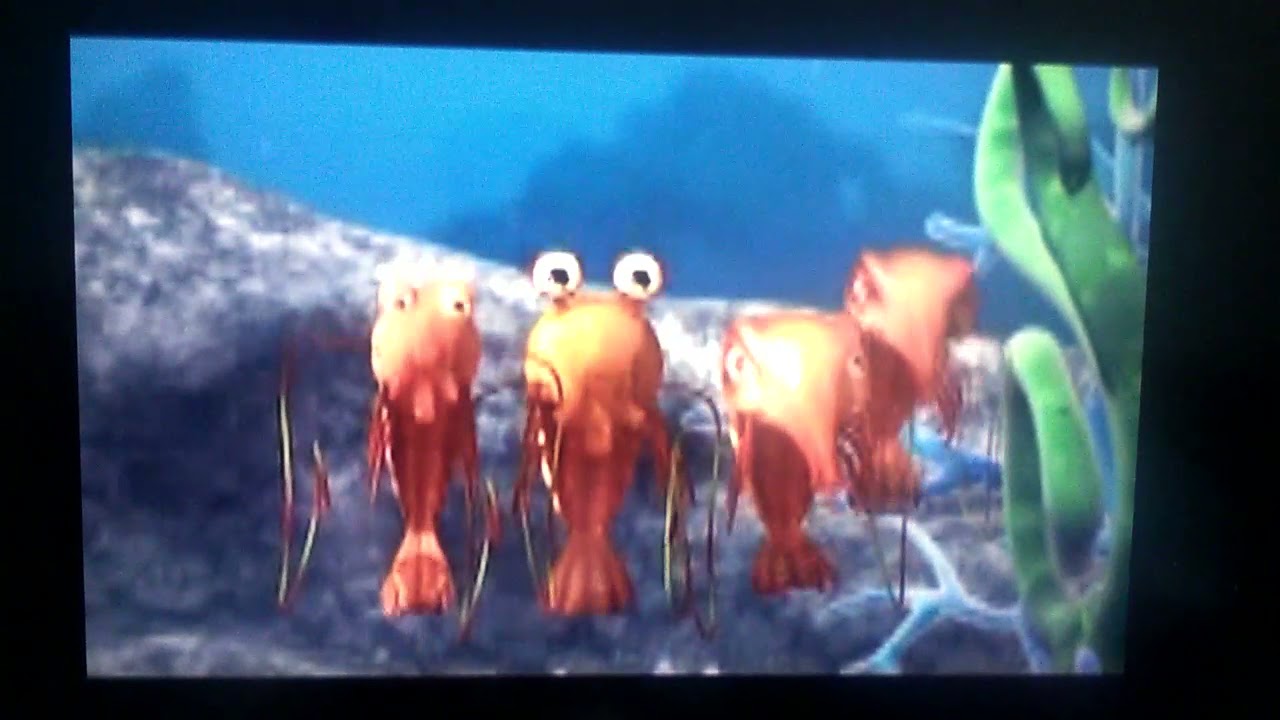 The Reef/Troy El Tiburón Tigre - YouTube