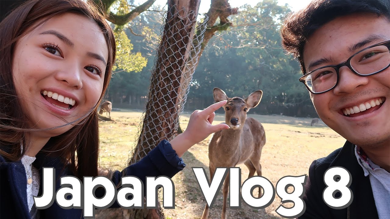 JAPAN VLOG | Nara Park & Fushimi Inari - YouTube