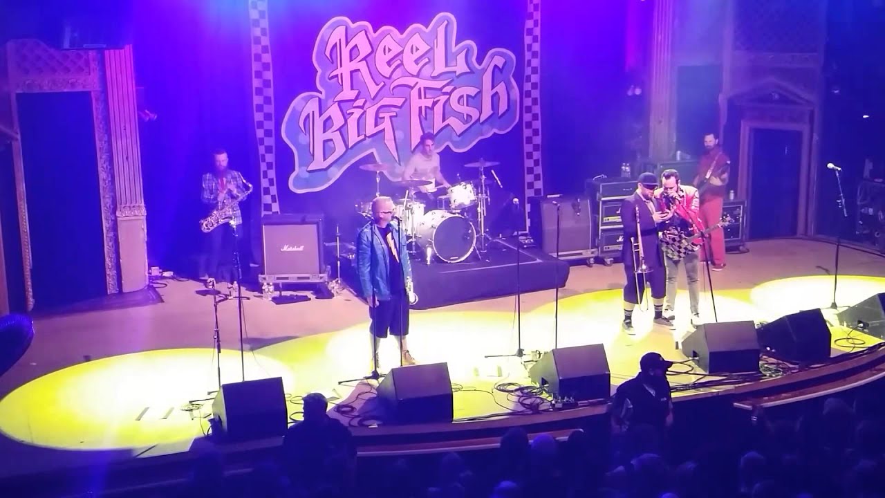 Jan 15, 2015, Reel Big Fish Google The Lyrics Where Have You Been - YouTube
