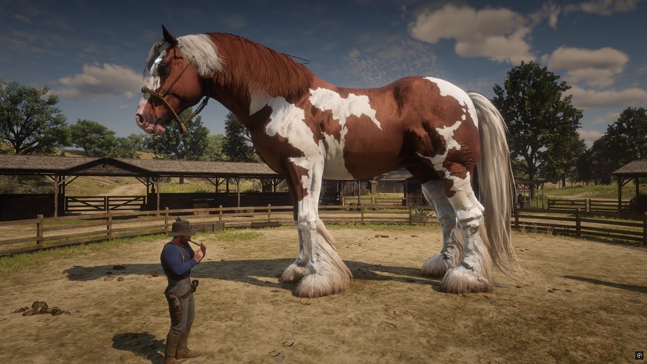 The Legendary Gypsy Cob | John Marston's Epic Horse Capture! | Rdr 2 ...