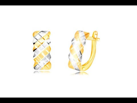 Jewelry – Earrings in 14K gold - matt arc decorated with bicolour grid