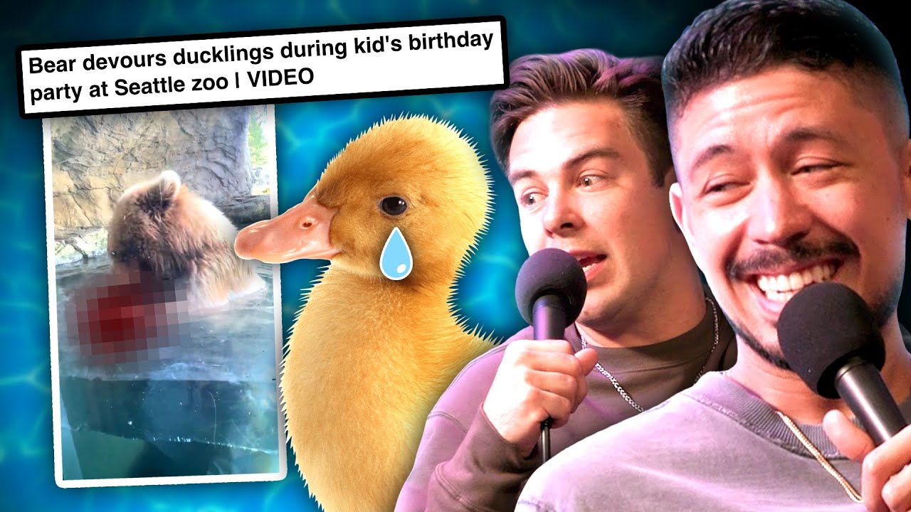 Reacting to EPIC Bear Moves - YouTube