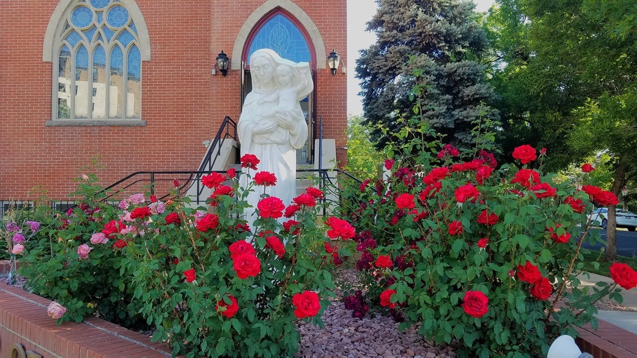 Rosary & Mass, Thursday February 13, Starts at 1:50 into video - YouTube