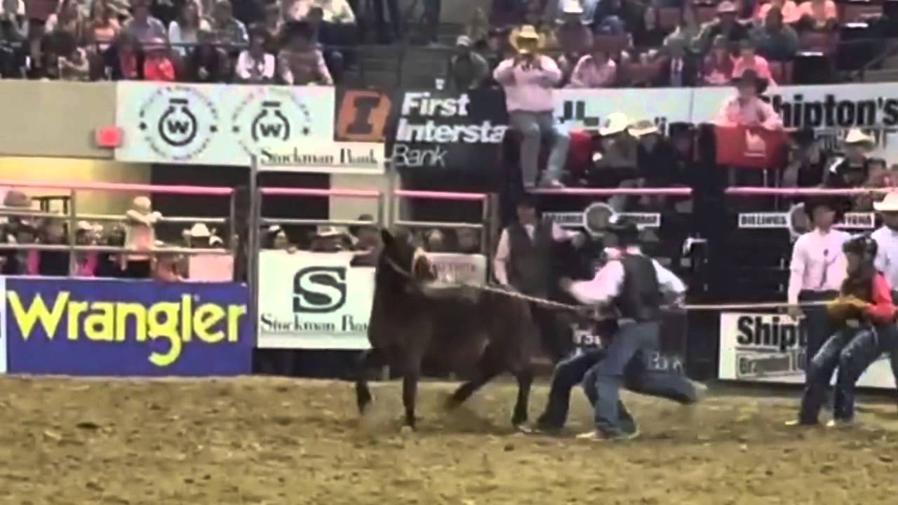 Wild Pony Races...Meet some of the Lazy 3S Rodeo Co Pony Crew who Love ...