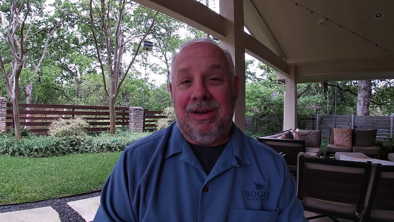 Bogle On Premise Talk 2020 - YouTube