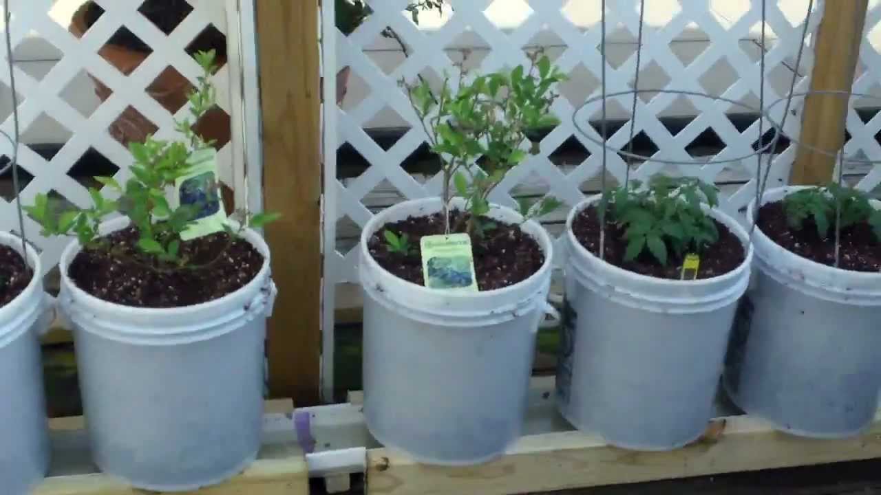 On The Lake Rain Gutter Grow System! built by my brother Steve (Shotgun ...
