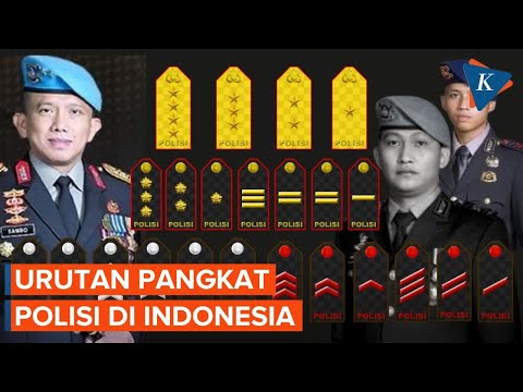 Bharada sampai Jenderal, Ini Urutan Pangkat Polisi Terendah hingga ...