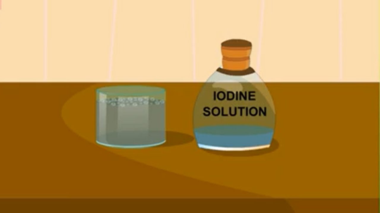 To write a secret message - Science Projects - YouTube