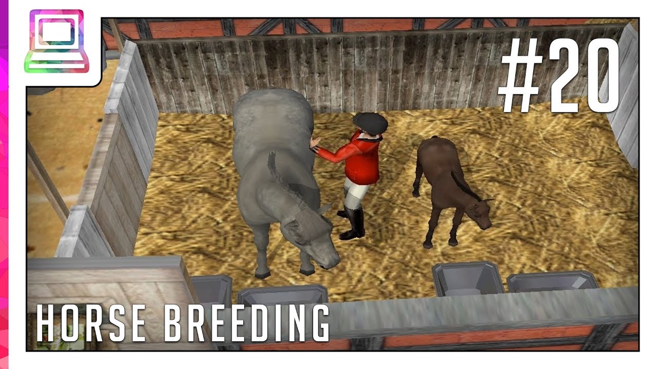 My Riding Stables - Stable Manager (part 20) (Horse Game) - YouTube