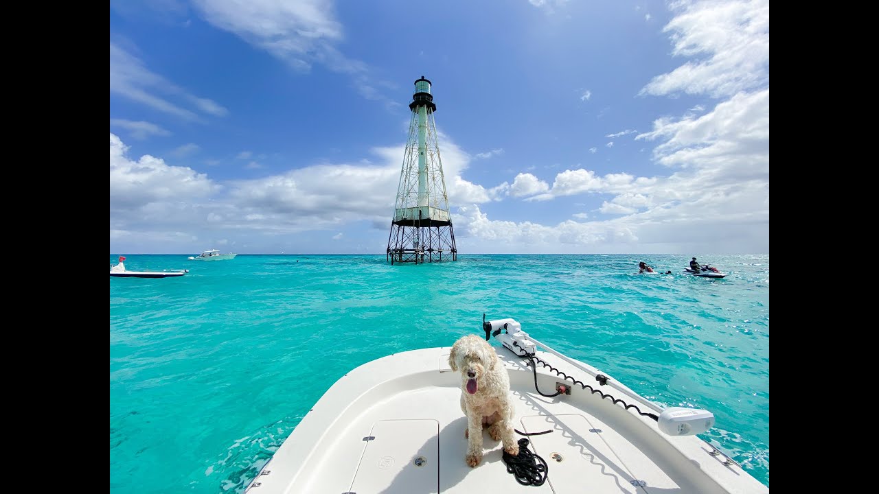 Islamorada snorkel trip to Cheeca Rocks and the Alligator Reef ...