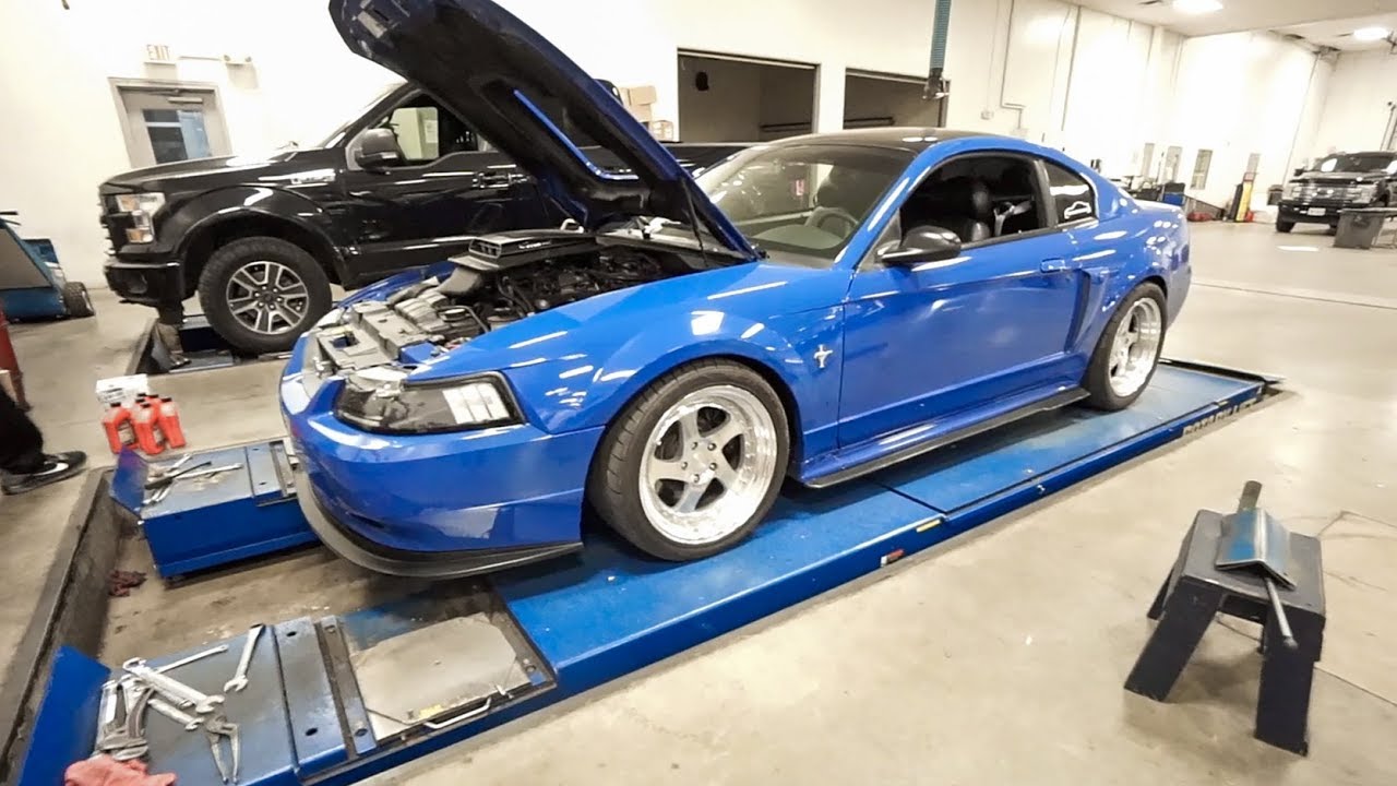Took my Mach 1 for an oil change & they found this... - YouTube