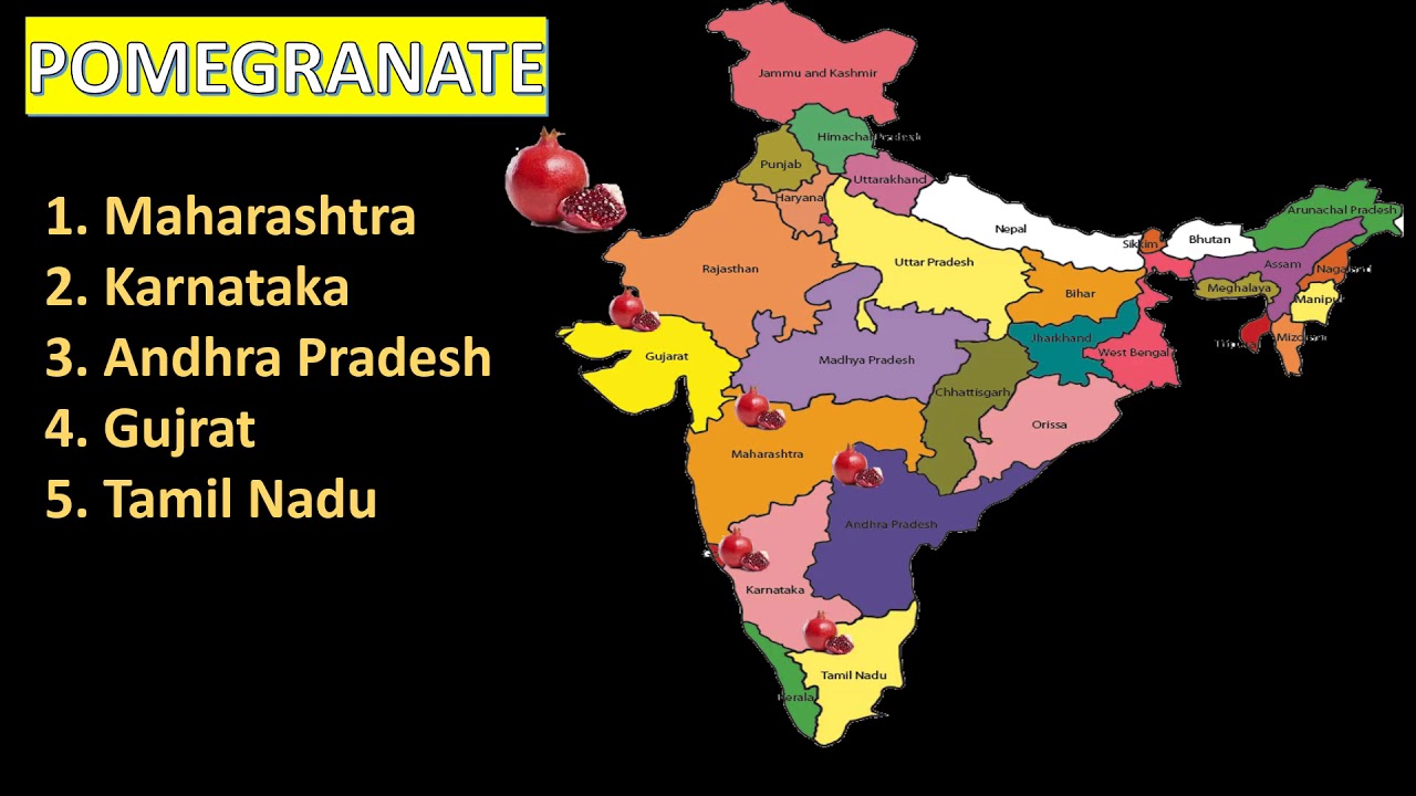 where fruit production of india - YouTube