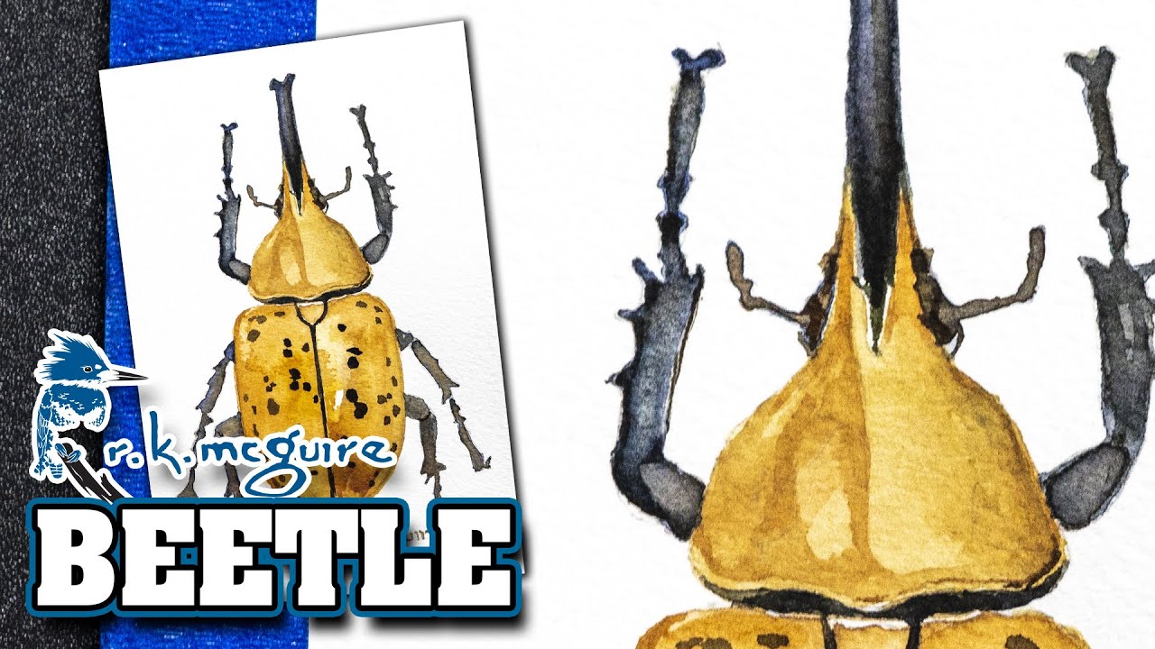 How to Draw a Beetle | Summer Art Series | R K McGuire - YouTube