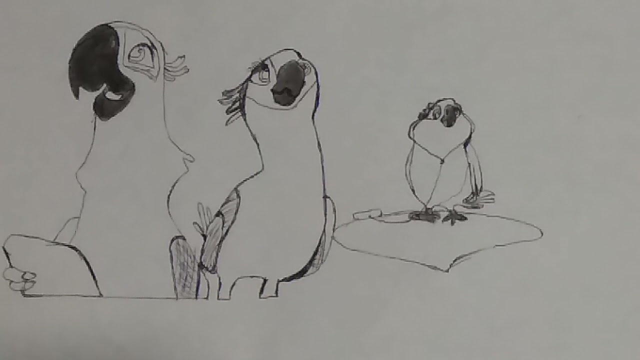 Disney Rio - Dibujo de Blu, Perla (Jewel) y Carla de Río 2 - YouTube