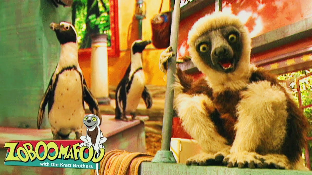 Water Creatures | Zoboomafoo - WildBrain | Movies for Kids - YouTube