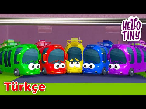 Beş Küçük Otobüs 🚌 | Bebekler için şarkılar | Hello Tiny Türkçe