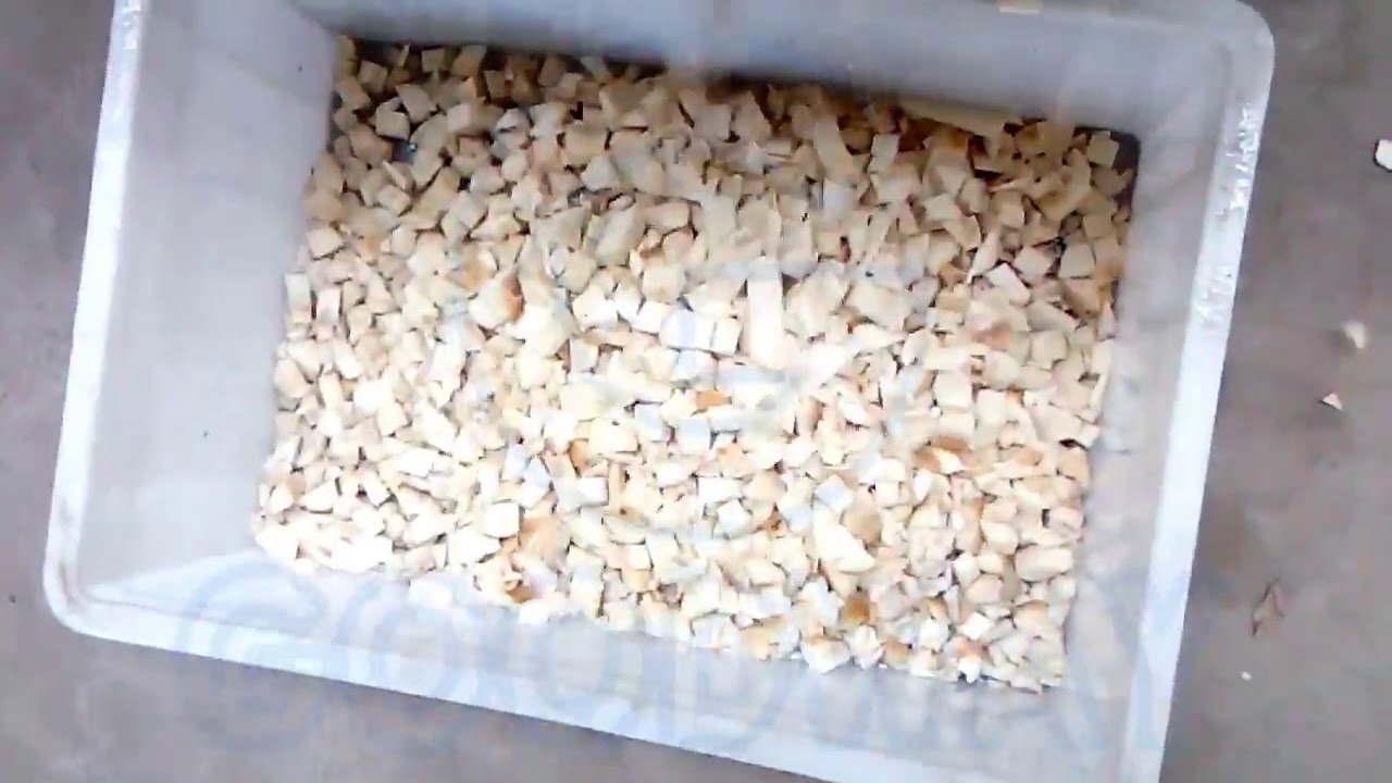 Cassava Chips Making Machine - YouTube