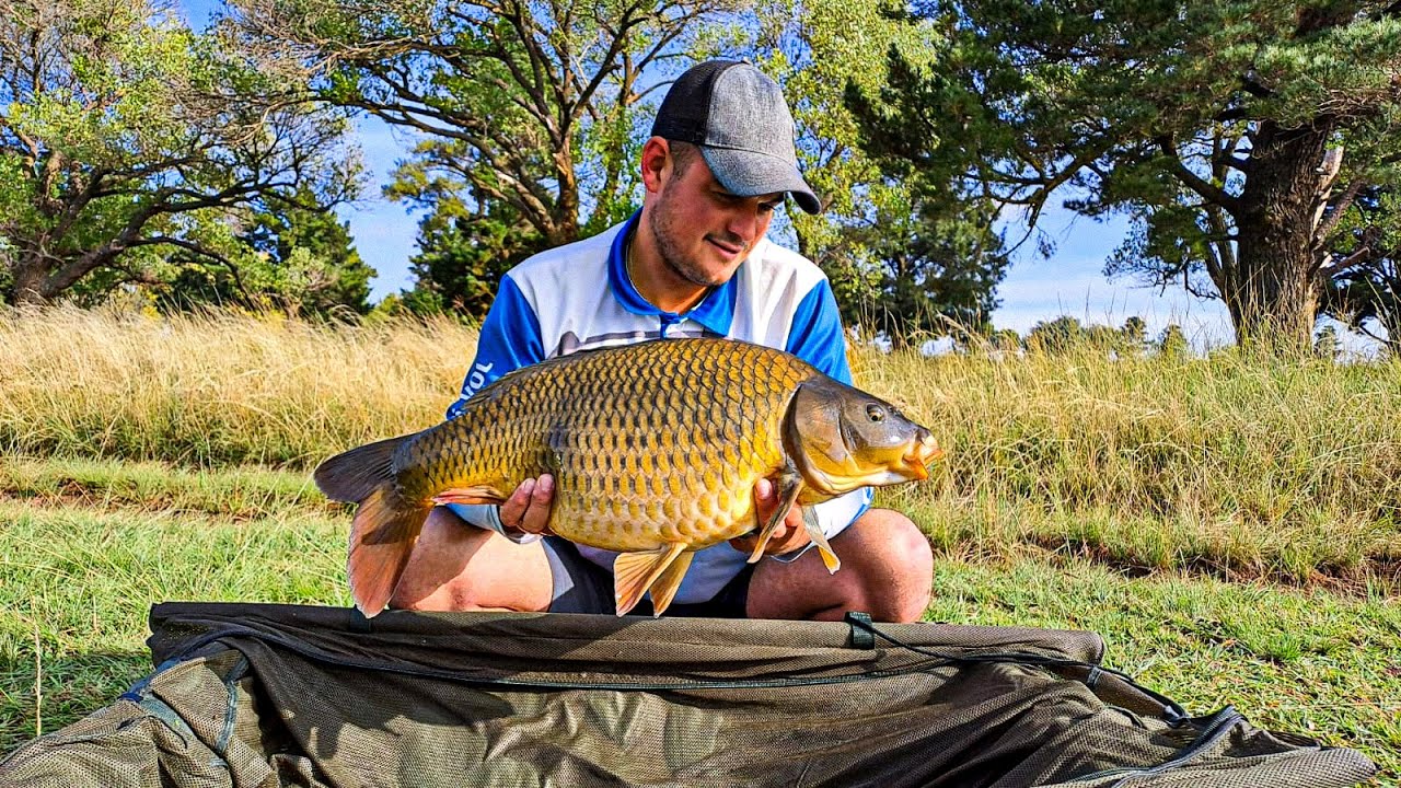 Donaldson Dam - YouTube