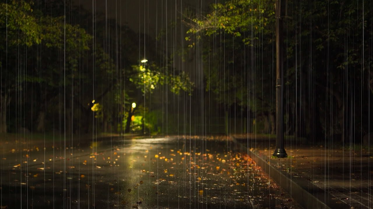 Cozy Rain│Study│Insomnia│Relaxing│Rain sounds for sleeping - YouTube