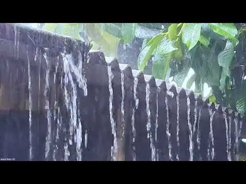 Bu yağmur sesi, uykusuzluğun tedavisinde ve zihni sakinleştirmede çok etkilidir.