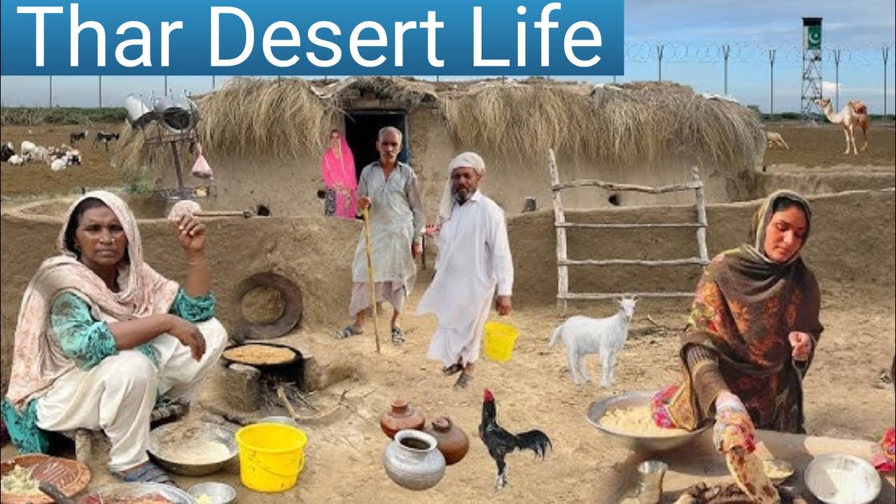 Thar Desert Life – A Glimpse Into Village Living - YouTube