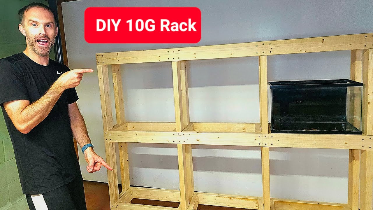 How to DIY Dado Cut 10G Aquarium Rack! - YouTube