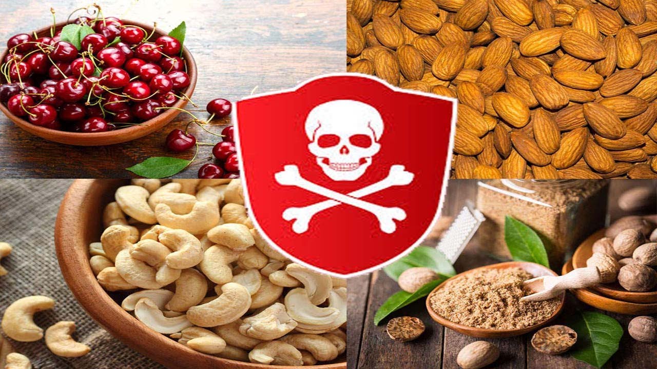 Toxic Foods We Like To Eat That Can Actually Kill You - YouTube