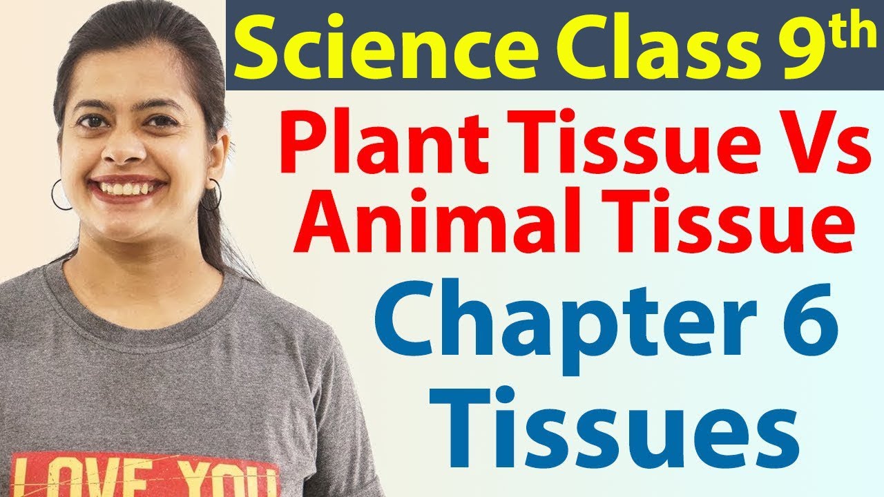 Plant Tissue Vs Animal Tissue - Chapter 6 - Tissues - Science Class 9 ...