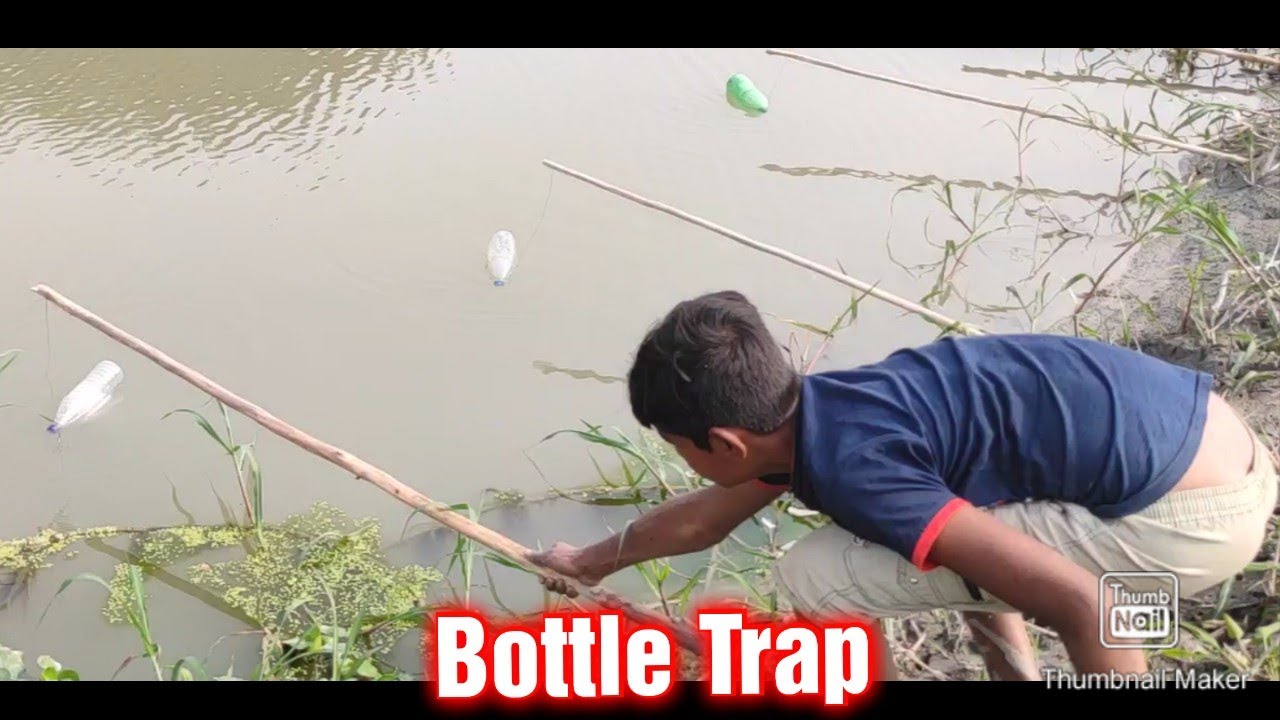 Plastic Bottle Fish Trap | Traditional Catch Fish With & Plastic Bottle ...