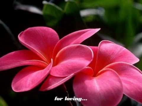 THANK YOU, LOVE - Jose Mari Chan