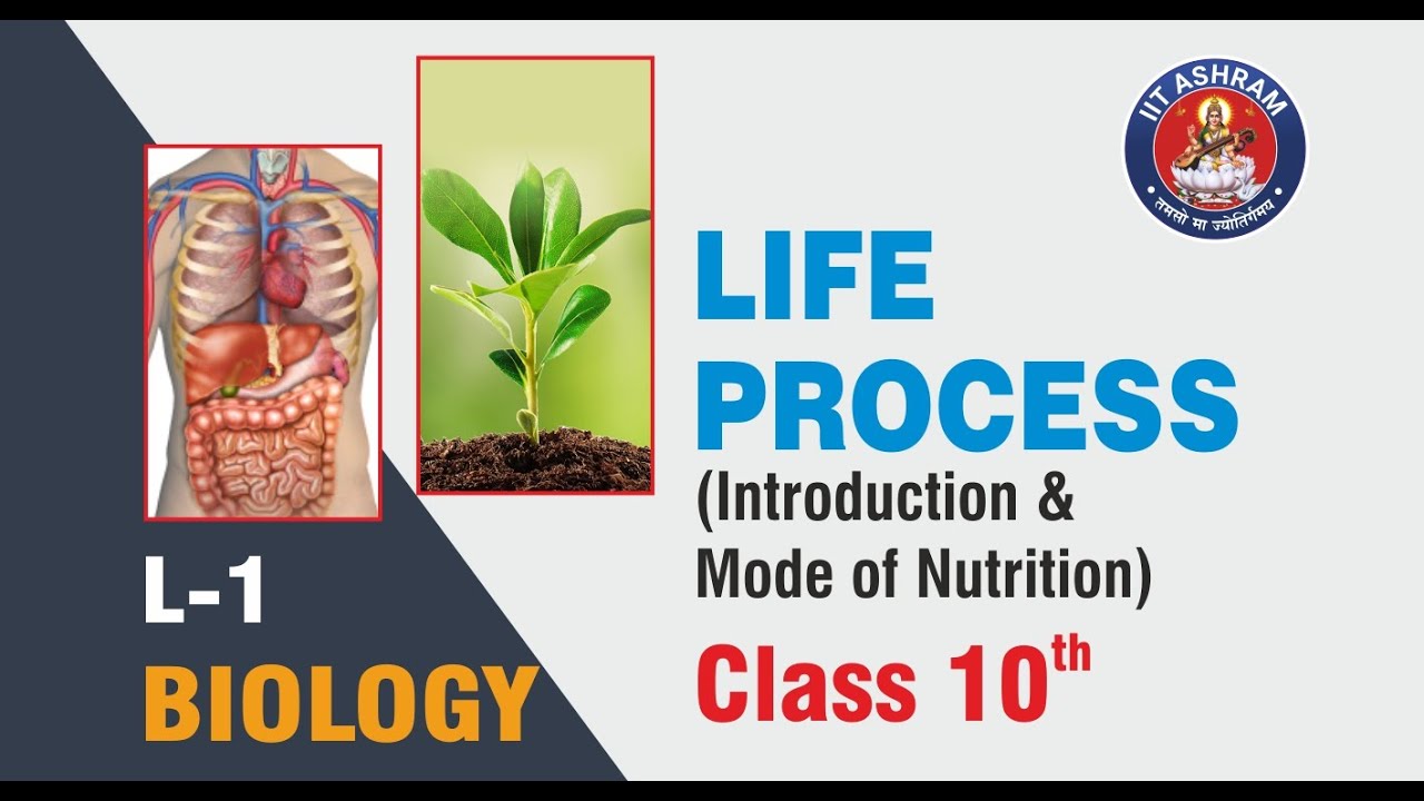 INTRODUCTION & MODE OF NUTRITION (LIFE PROCESS) - YouTube
