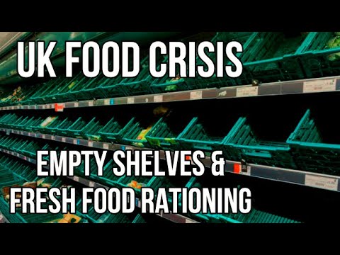 UK Food Crisis - Empty Shelves & Fresh Food Rationing - Why Have ...