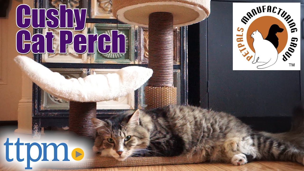 Cushy Cat Perch from PetPals - YouTube