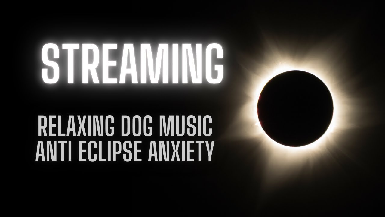 🔴[LIVE] 🐶🐾🎶MOON ECLIPSE ANXIETY - Relax your dog 🐶🎶 Soothing music for ...