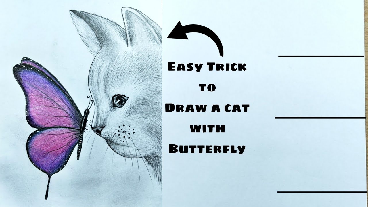 How to draw a cat with Butterfly - Easy Pencil Sketch - YouTube