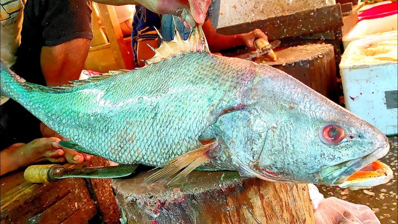 Monster Kural Fish Cutting Skills || Amazing Huge Fish Cutting Skills ...