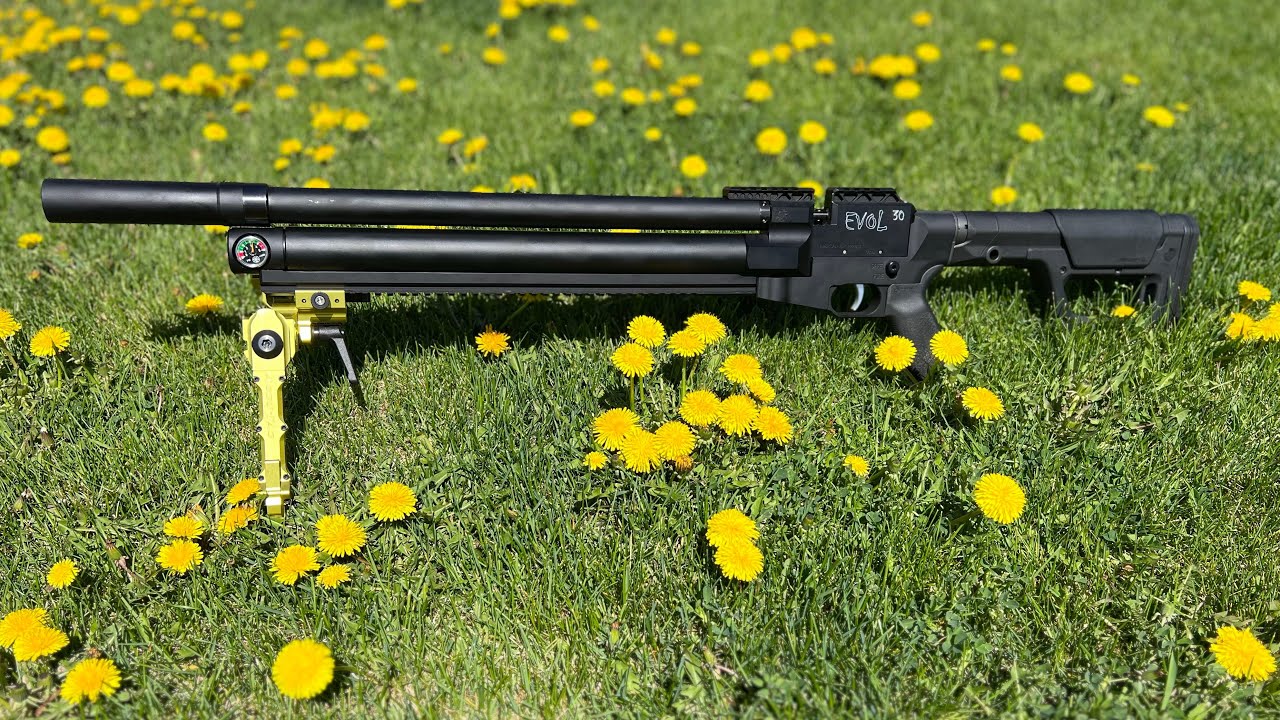 Basic Breakdown Of An American Air Arms Evol Airgun - YouTube