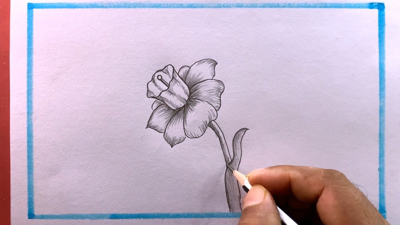 How To Draw A Flower Easy/Flower Drawing - YouTube