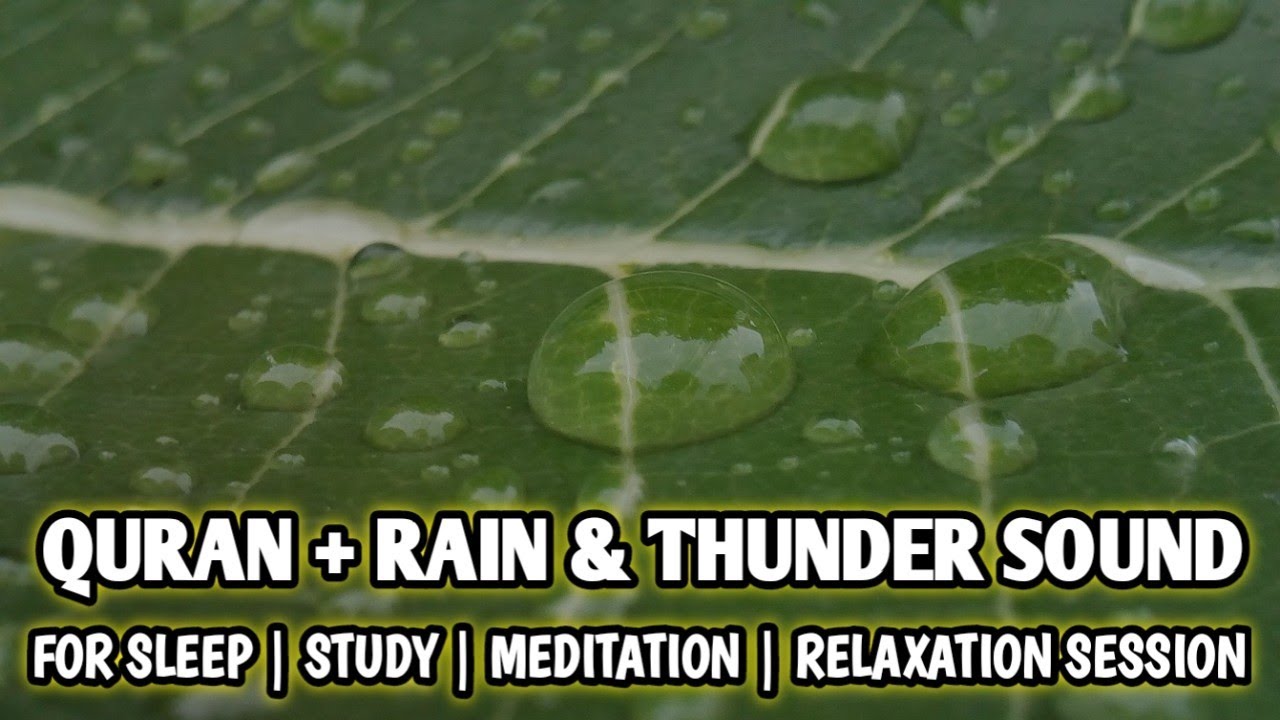 Rain And Peace Quran Recitation For Sleeping Relaxation Meditation ...