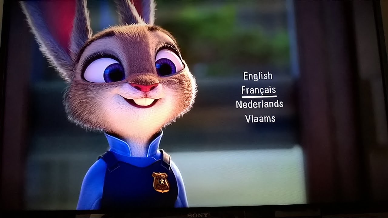 Menu DVD: Zootopie - YouTube