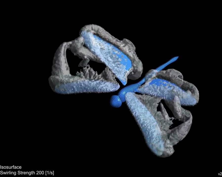CFD ANSYS FLUENT simulation dragonfly hovering ISO SS - YouTube