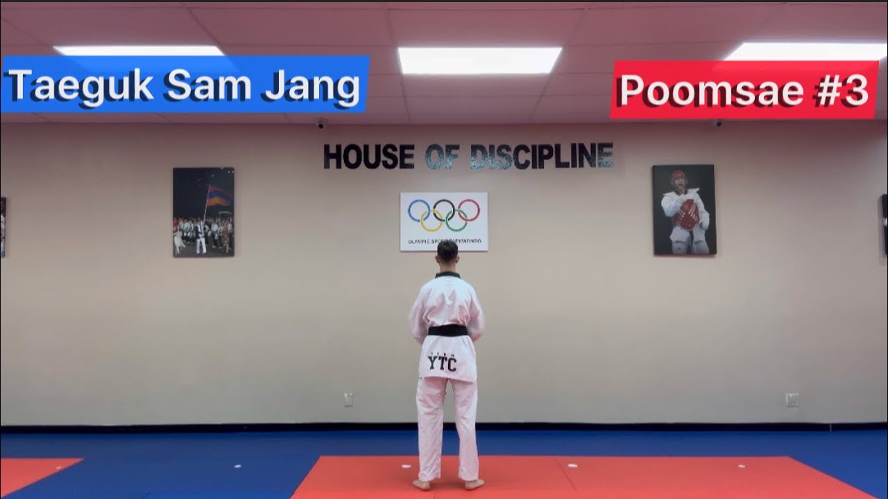 Taeguk Sam Jang - Poomsae #3 - YouTube
