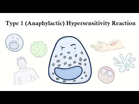 TYPE 1 HYPERSENSITIVITY REACTION - YouTube