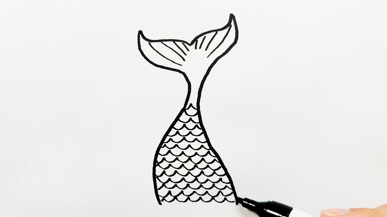 How to Draw a Mermaid Tail - YouTube