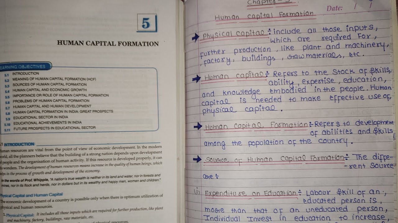 Notes For Class 12 Economics Chapter 5 Human Capital Formation In India ...