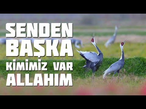 Bu Duaya Amin Diyelim - Kuba’da Ezan ve Dua - Lütfen Paylaşalım