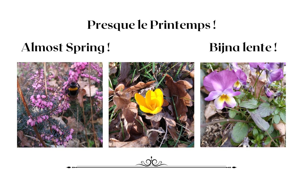 Almost spring! Presque le printemps! Bijna lente! - YouTube
