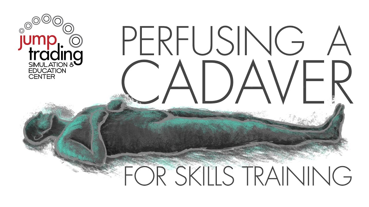 Perfusing a Cadaver for Skills Training - YouTube