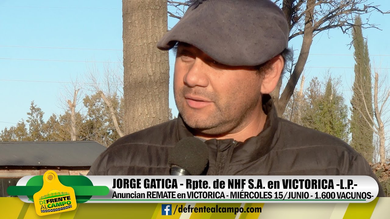 JORGE GATICA - Representante de NÉSTOR HUGO FUENTES S.A. en VICTORICA ...