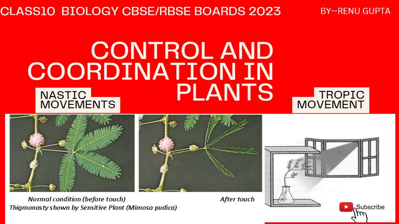Ch.7 Control and coordination in plants | Plant Hormones and Plant ...